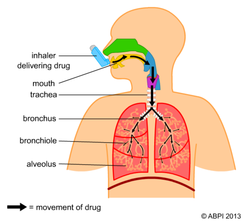 Asthma & Inhalers | Teaching Resources