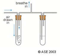 Carbon Dioxide Experiment | Teaching Resources