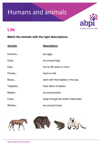 Humans & Animals | Teaching Resources