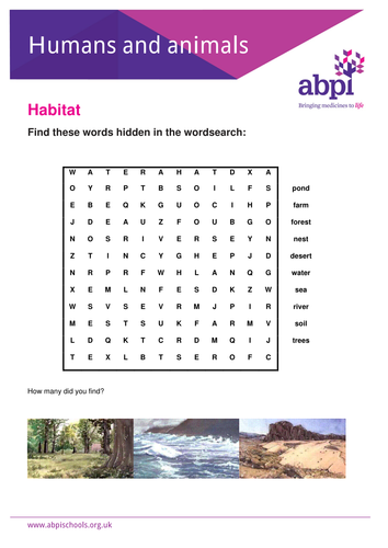 Humans & Animals | Teaching Resources