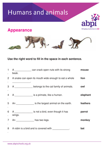 Humans & Animals | Teaching Resources