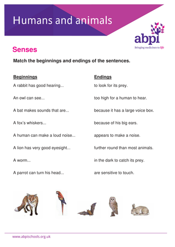 Humans & Animals | Teaching Resources