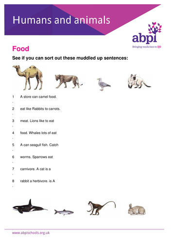 Humans & Animals | Teaching Resources