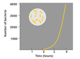 Growth of Pathogens | Teaching Resources