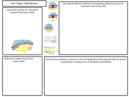 SNAB AS Biology Revision Resources for topic 2+3 | Teaching Resources