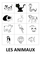 Pets in French Les Animaux | Teaching Resources