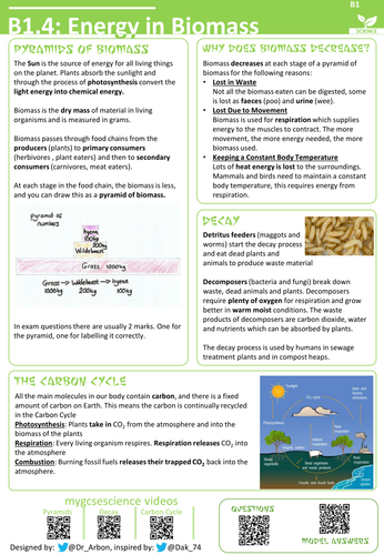 B1 AQA Learning Mats | Teaching Resources