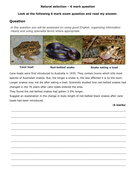 AQA-B1-7-Evolution | Teaching Resources