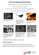 AQA-B1-7-Evolution | Teaching Resources