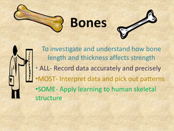 bones and strength activity | Teaching Resources