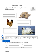 PPT and resources for the Carnival of Animals | Teaching Resources