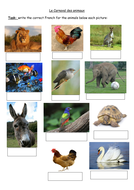 PPT and resources for the Carnival of Animals | Teaching Resources