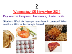 Introduction to proteins | Teaching Resources