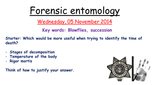 Edexcel forensic entomology | Teaching Resources