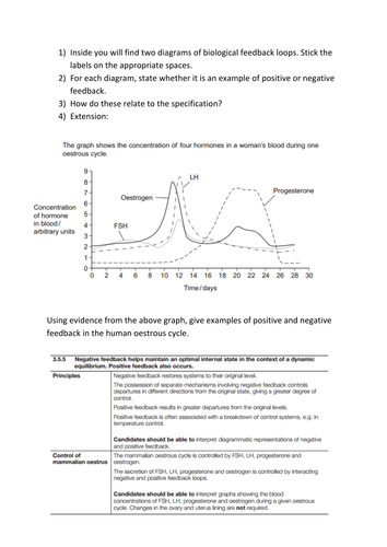 Positive and negative feedback loops/Homeostasis | Teaching Resources