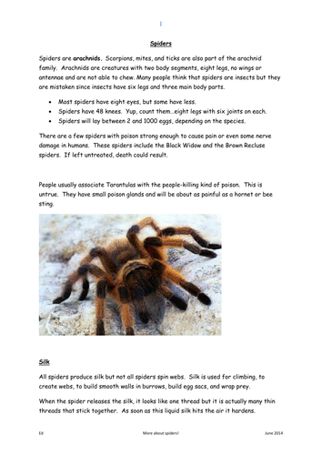 Spider Comprehension | Teaching Resources