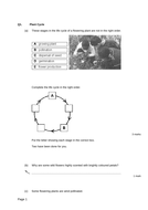 Life Cycles - Levelled SATS questions | Teaching Resources