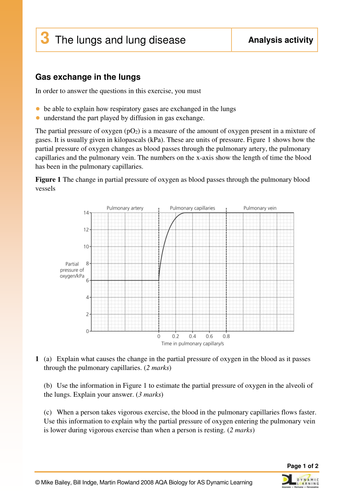 Gas exchange in the lungs | Teaching Resources