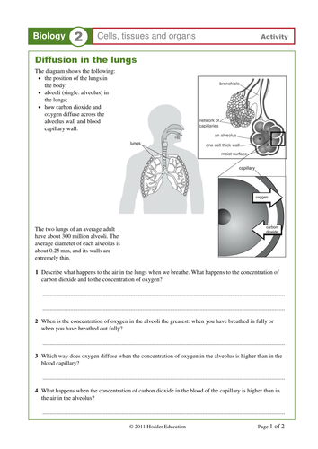 Biology Unit 2: Diffusion | Teaching Resources