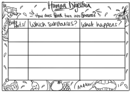 Digestion Demonstration Worksheet | Teaching Resources