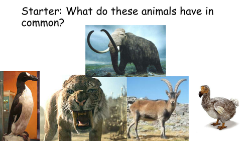 Fossils and extinction AQA | Teaching Resources