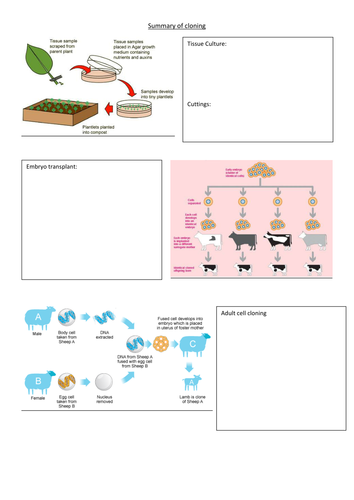 AQA B1 Cloning | Teaching Resources
