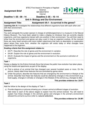 Edexcel BTEC Level 1/L2 Unit 4 Assignment Brief | Teaching Resources Edexcel BTEC Level 1/L2 Unit 4 Assignment Brief | Teaching Resources