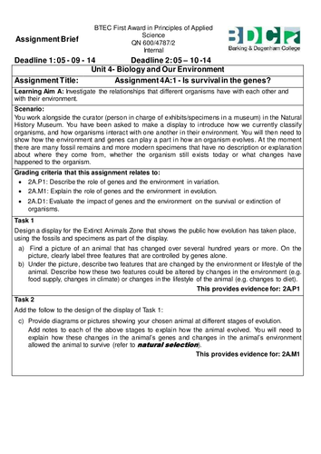 Edexcel BTEC Level 1/L2 Unit 4 Assignment Brief | Teaching Resources Edexcel BTEC Level 1/L2 Unit 4 Assignment Brief | Teaching Resources