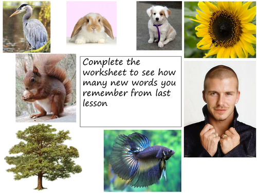 Variation lesson | Teaching Resources