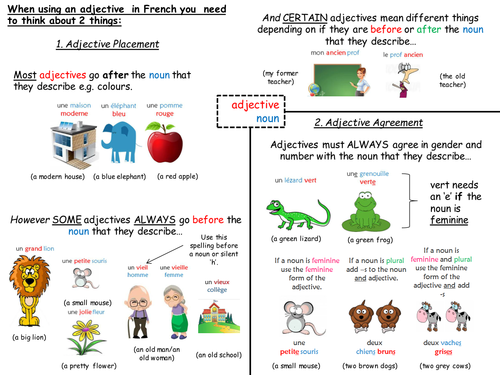 Adjectival Agreement and Position Cheat Sheet | Teaching Resources