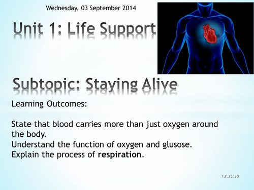 Year 8 Biology Staying Alive | Teaching Resources