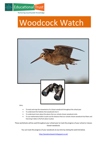 Woodcock Watch - UPDATE | Teaching Resources
