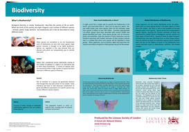 Biodiversity Poster | Teaching Resources