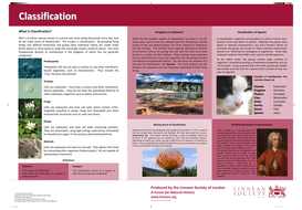 Classification Poster | Teaching Resources