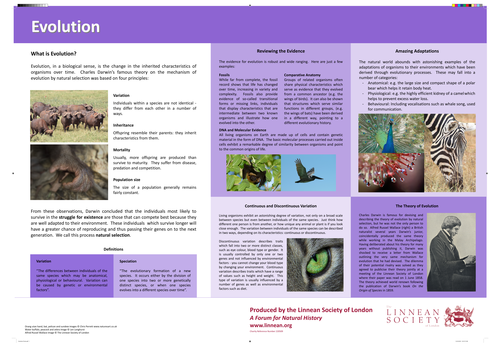 Evolution Poster | Teaching Resources