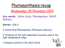 Photosynthesis Review task | Teaching Resources