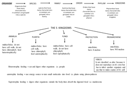 5 kingdoms | Teaching Resources