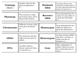 Genetics Terms Loop Cards | Teaching Resources