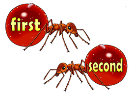 Red Ants Themed Ordinal Numbers and in Words | Teaching Resources