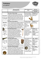 Prehistory: Stone Age to Iron Age resources | Teaching Resources