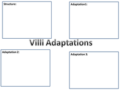Villi | Teaching Resources
