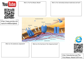 AQA AS Biology Plasma Membrane Fluid Mosaic Model | Teaching Resources