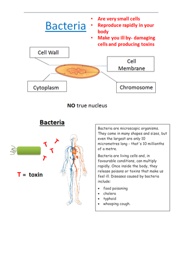 What are pathogens? | Teaching Resources