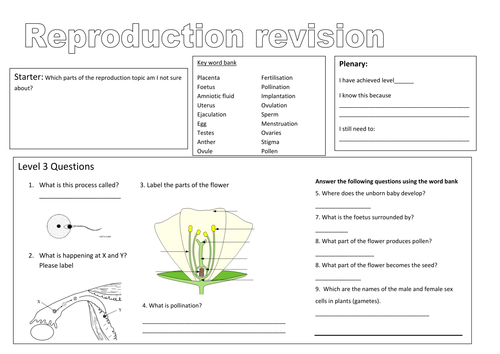 Revision lesson for reproduction | Teaching Resources