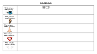 Senses Grid | Teaching Resources