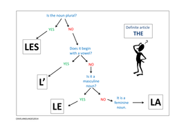 French Definite Article Flow Chart | Teaching Resources