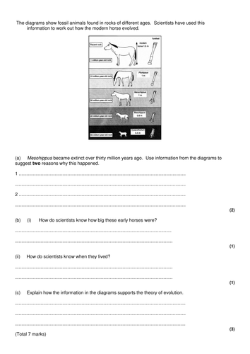 Fossils and extinction | Teaching Resources