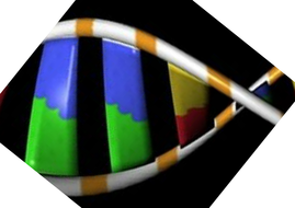 Wow Board DNA Display | Teaching Resources