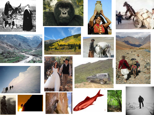 Escape Journey; 1988 by Choman Hardi | Teaching Resources