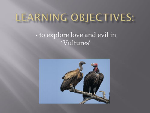 Vultures Full Lesson PP Analyze Compare | Teaching Resources